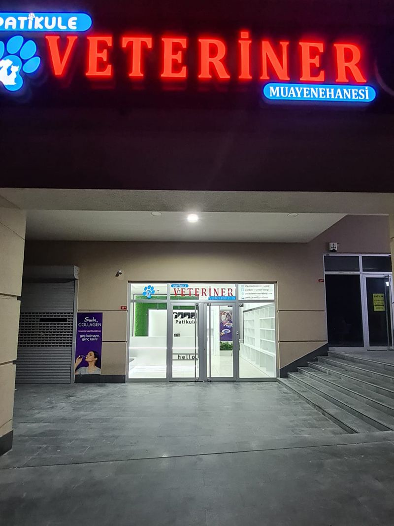 Gece Açık Veteriner - Bahçeşehir Avcılar Acil Veteriner